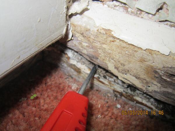 Problems with Cavity Wall Ties: What Property Owners Need To Know