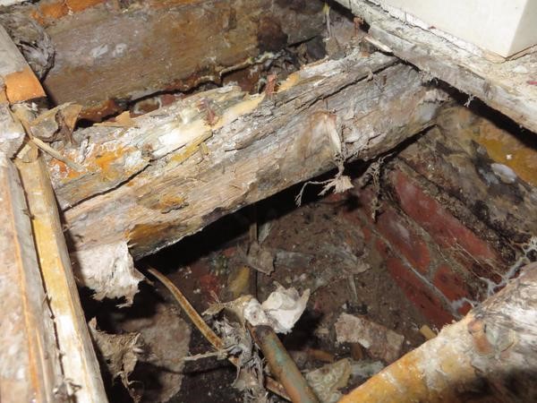 The long-term impact of Dry Rot in your home