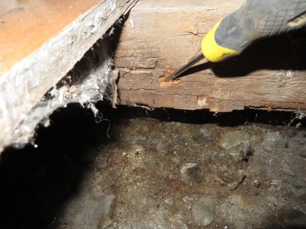 Repairing Water Rotted Wood