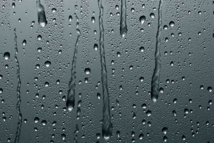 Sources of Moisture in Buildings - Tapco HomeDry