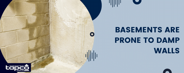 How to Tank a Cellar: A Brief Guide | Tapco HomeDry