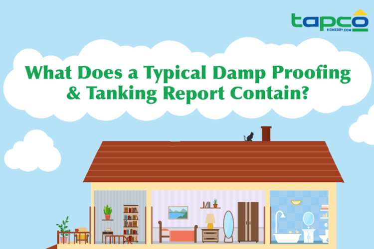 The Biggest Problems with Woodworm Infestations - Tapco HomeDry