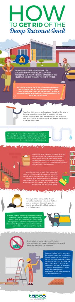 How to Get Rid of the Damp Basement Smell - Infographic