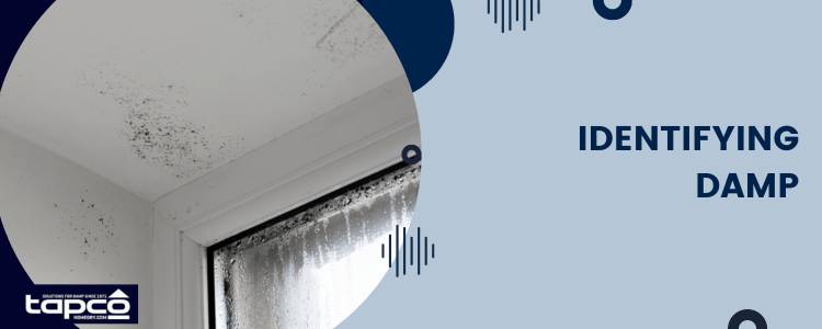 How To Treat Damp Walls (Simple Steps) - With Pictures