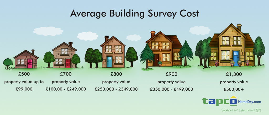 Buying a Home in 2025: Which Survey Do You Really Need?