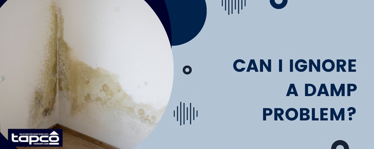 How to Cure & Fix Damp Walls | Tapco HomeDry