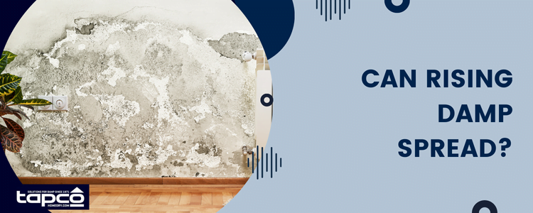 How to Stop Rising Damp | Tapco HomeDry
