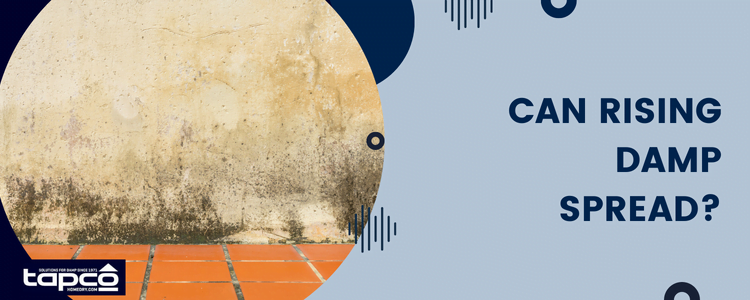 How to Fix Rising Damp | Tapco HomeDry