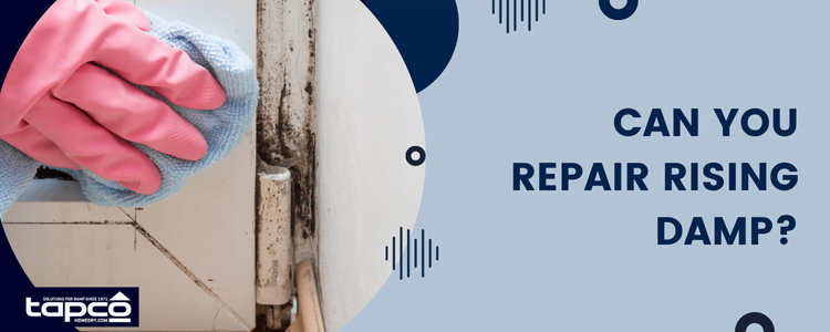 How to Fix Rising Damp | Tapco HomeDry