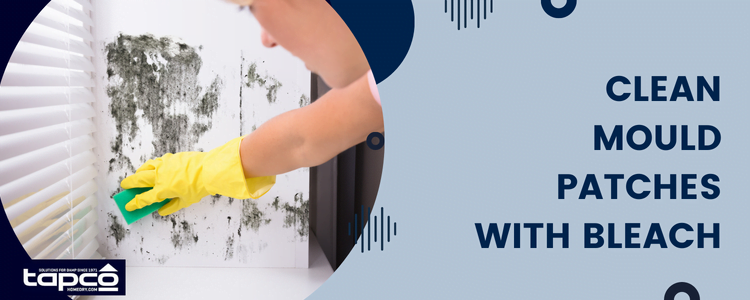 How to Get Rid of Damp Smell | Tapco HomeDry