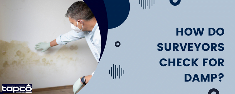 How Do Surveyors Check for Damp? | Tapco HomeDry