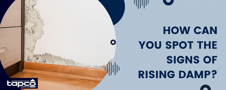 How to Stop Rising Damp | Tapco HomeDry