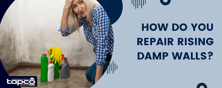 How to Fix Rising Damp | Tapco HomeDry