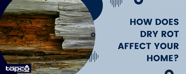 How to Identify and Control Dry Rot | Tapco HomeDry