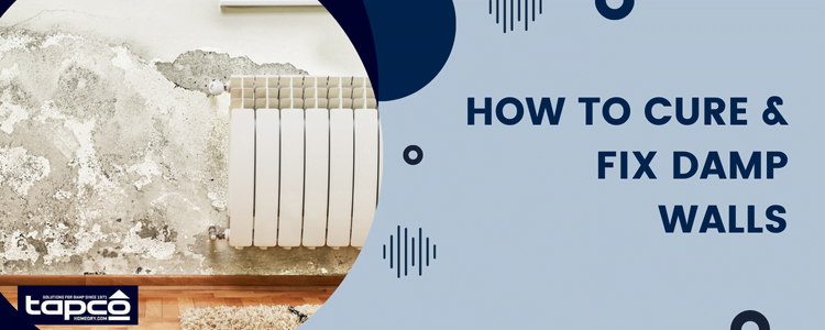 How to Cure & Fix Damp Walls | Tapco HomeDry