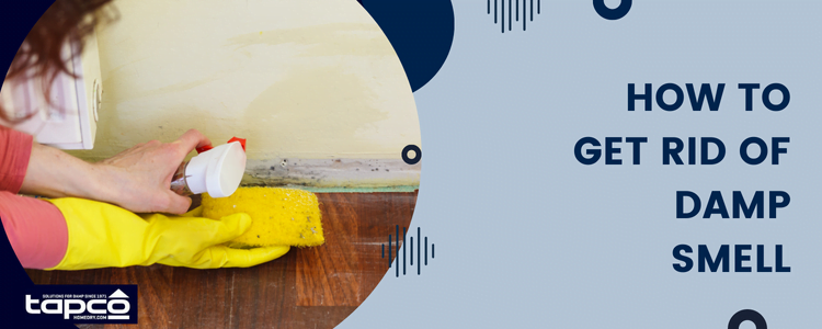 How to Get Rid of Damp Smell | Tapco HomeDry