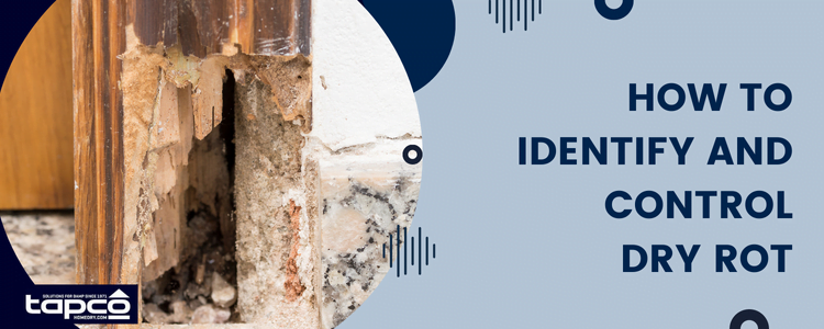 How to Identify and Control Dry Rot | Tapco HomeDry