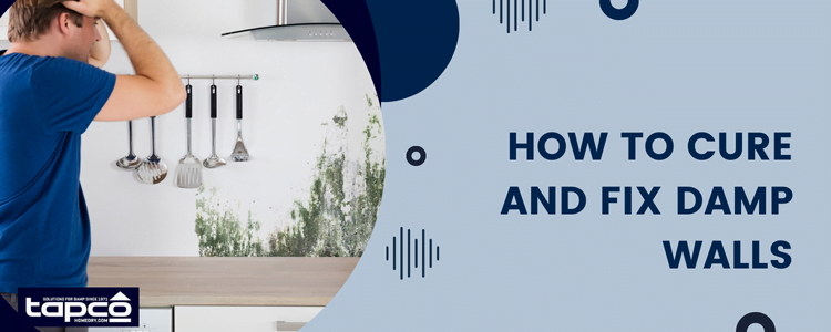 How to Cure & Fix Damp Walls | Tapco HomeDry
