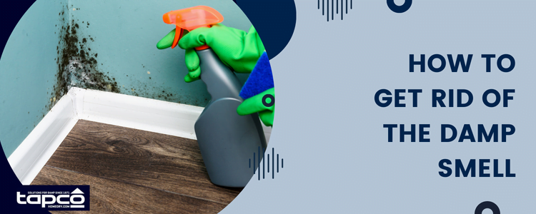How to Get Rid of Damp Smell | Tapco HomeDry