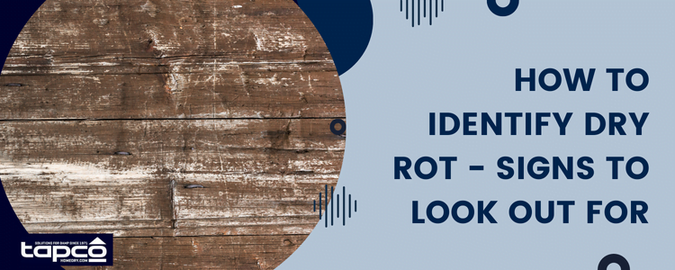 How to Identify and Control Dry Rot | Tapco HomeDry