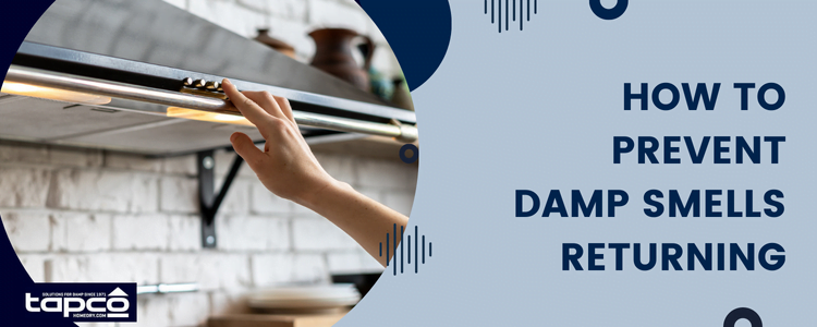 How to Get Rid of Damp Smell | Tapco HomeDry