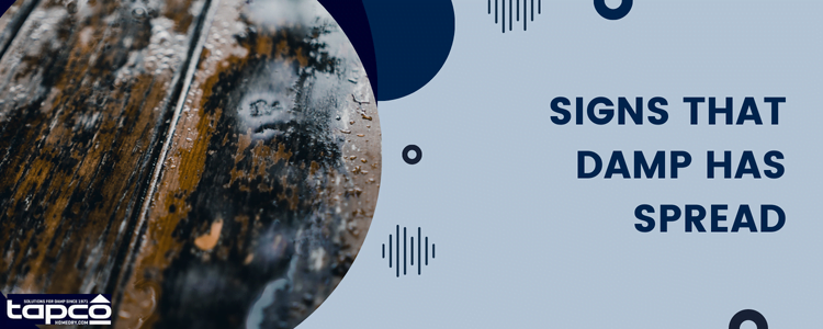 How Do Surveyors Check for Damp? | Tapco HomeDry