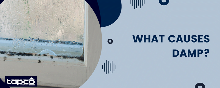 How to Cure & Fix Damp Walls | Tapco HomeDry