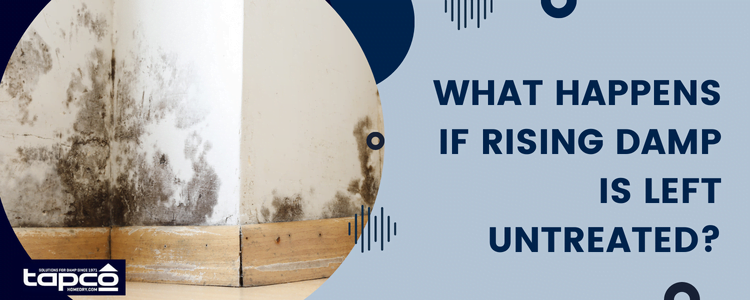 How to Fix Rising Damp | Tapco HomeDry
