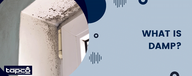 How to Cure & Fix Damp Walls | Tapco HomeDry