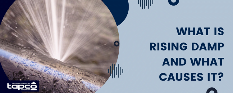 How to Stop Rising Damp | Tapco HomeDry