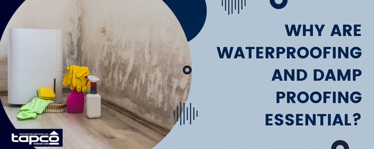 How to Waterproof & Damp Proof a Basement | Tapco HomeDry