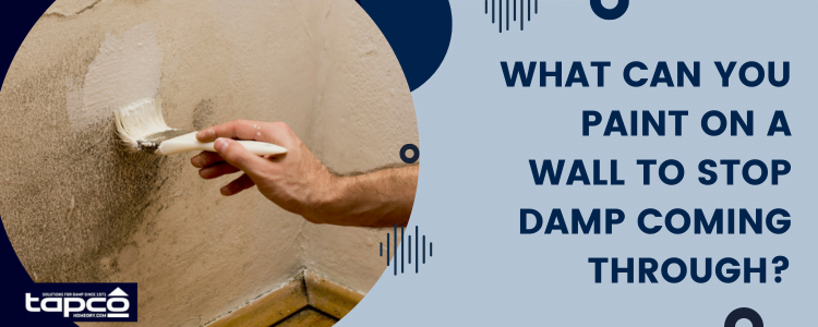 Breathable Paint for Damp Walls: A Complete Guide