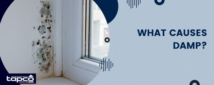 Damp Patch on Wall But No Leak: What Could Be the Problem?
