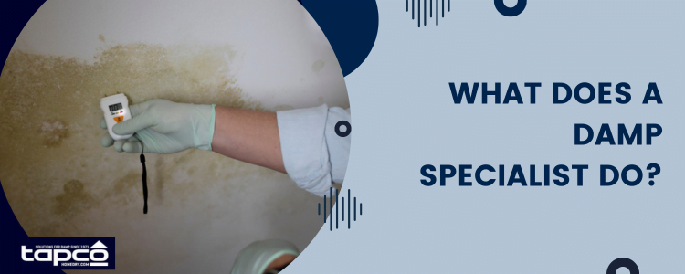 How to Find a Damp Specialist Near You: The Guide