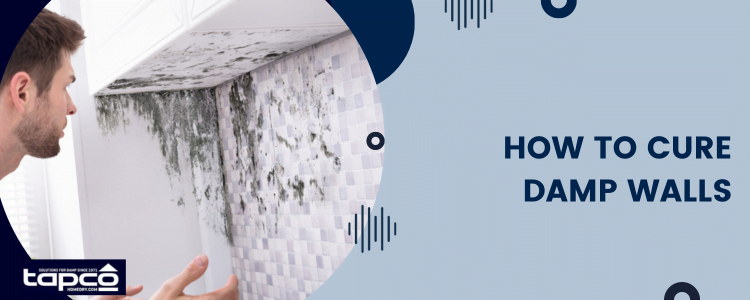 How to Cure Damp Walls - Tips & Tricks from the Experts