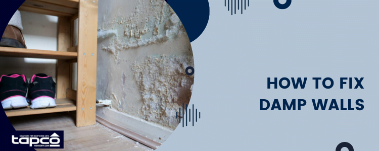 How to Fix Damp Walls & Prevent Moisture from Returning