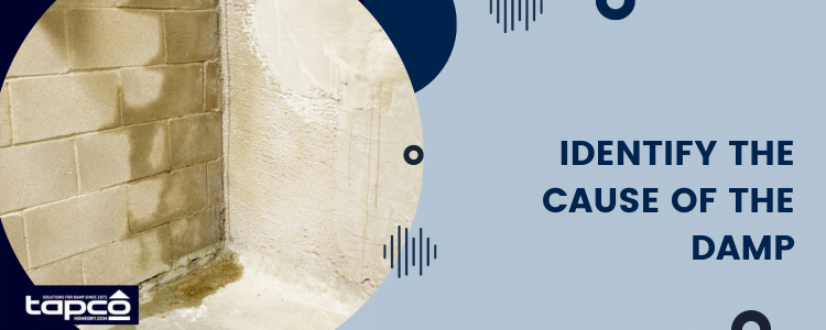 How to Damp Proof a Cellar & Get the Most Out of Your Space