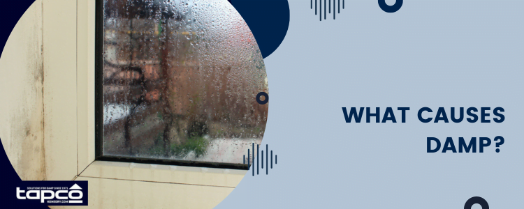 How to Fix Damp Walls & Prevent Moisture from Returning