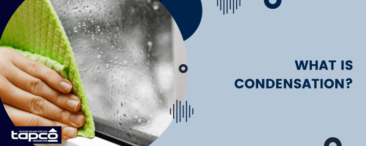 Condensation vs Damp: 5-Minute Test Homeowners Should Know